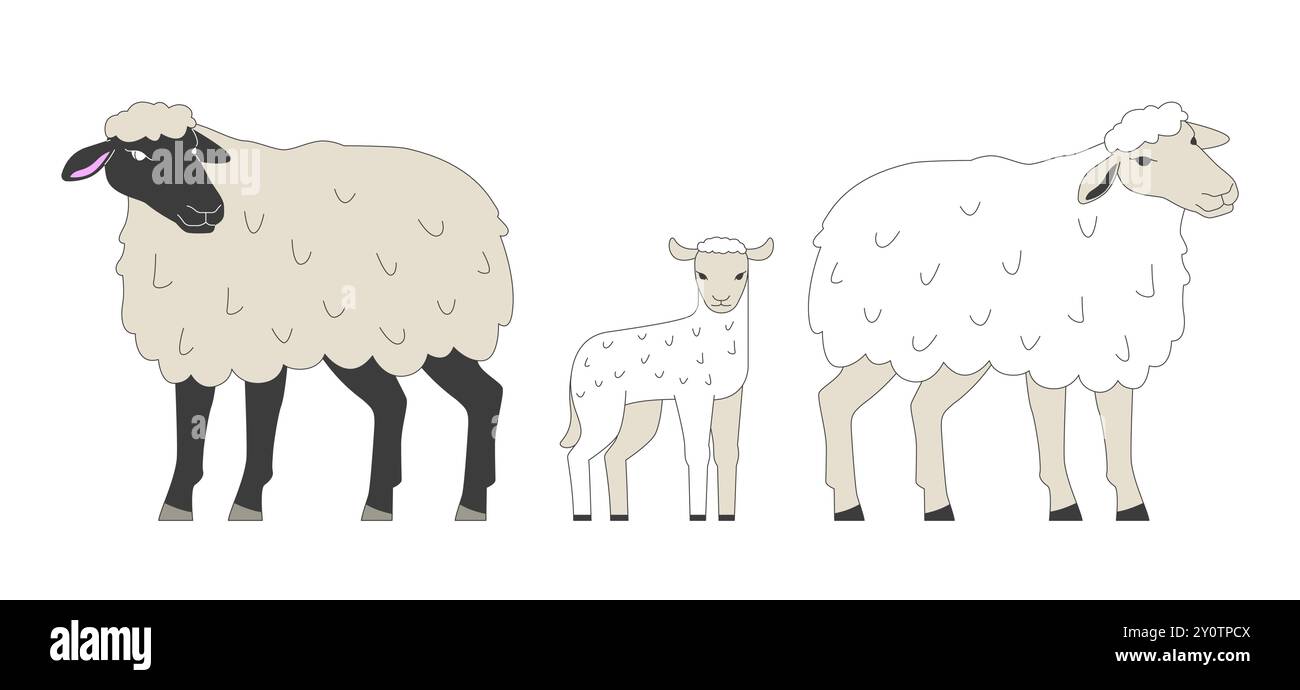 Sheep family with cute little lamb 2D cartoon characters Stock Vector ...