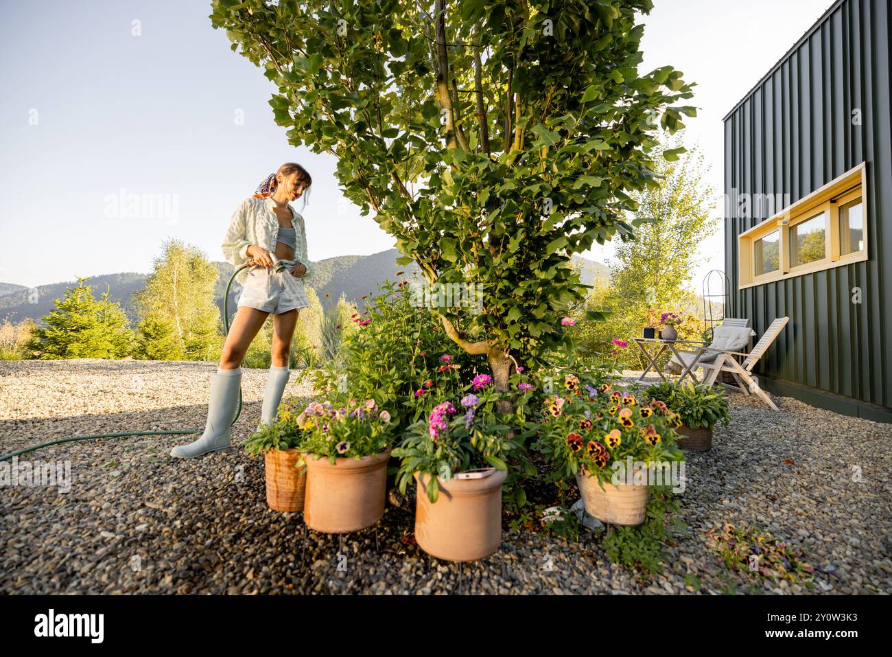 Morning Garden Ritual Stock Photo - Alamy