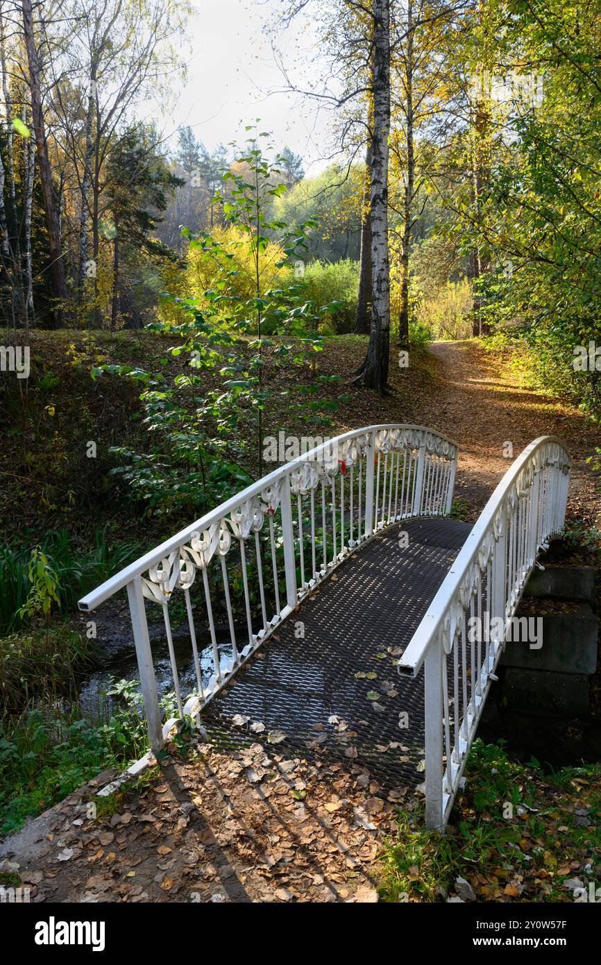 A white bridge over a stream in an autumn park among fallen red leaves ...