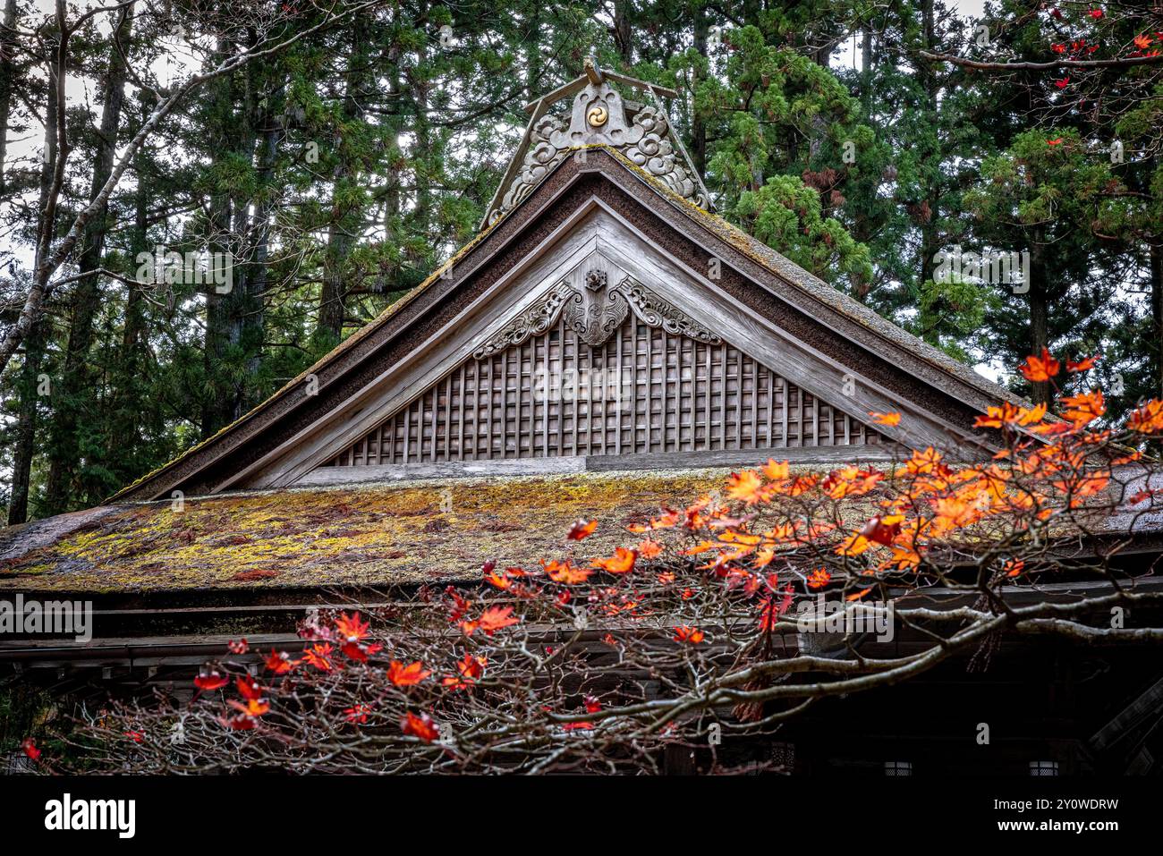 Traditional japanese temple roof showing detailed carvings kyoto Stock ...