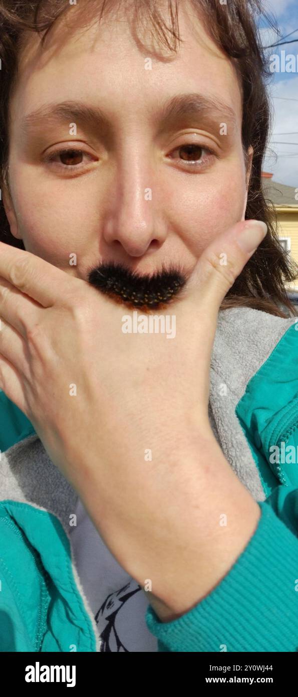 Salt Marsh Moth (Estigmene acrea) Insecta Stock Photo - Alamy