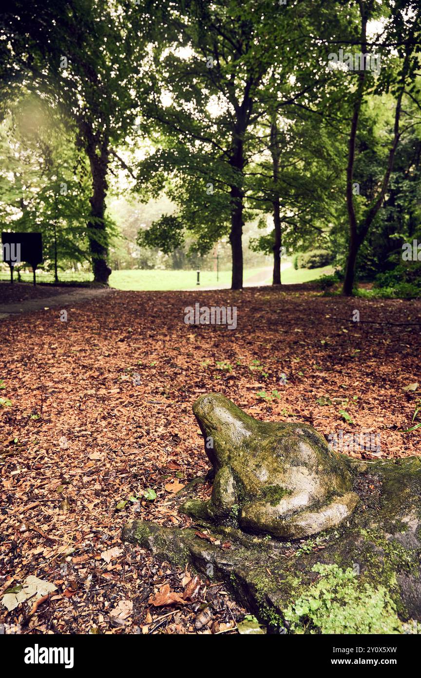 Stone frog in the woods Stock Photo - Alamy