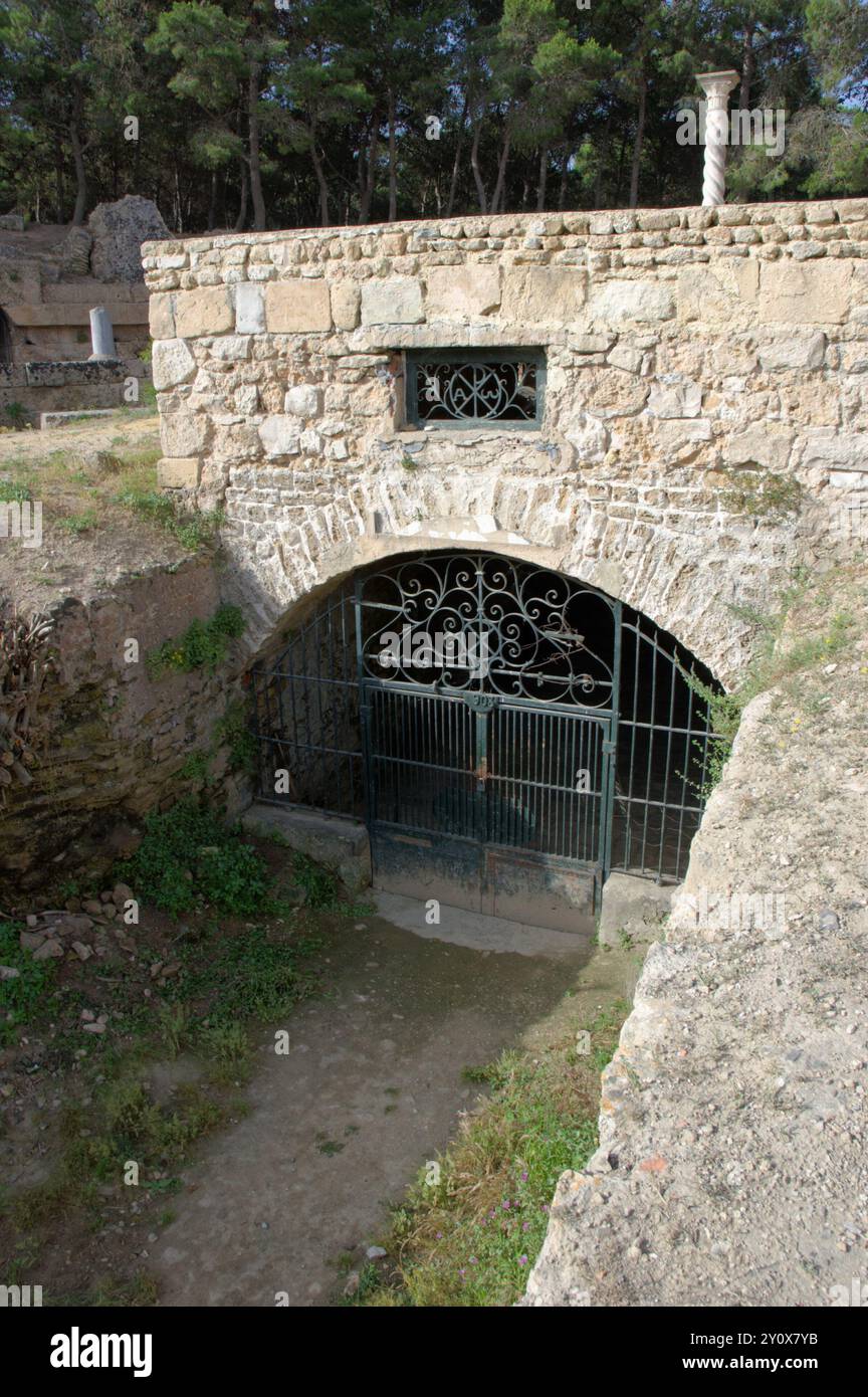 Roman amphitheatre, Carthage, Tunisia Stock Photo - Alamy