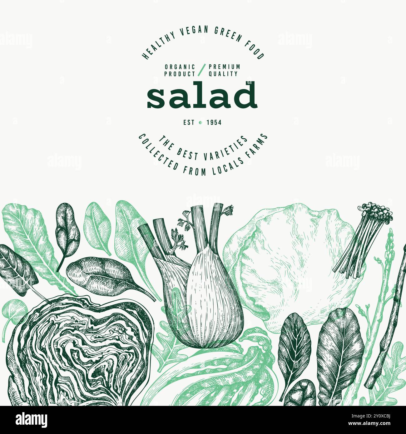 Green Vegetable Design Template. Vector Hand Drawn Healthy Leaf Salad ...