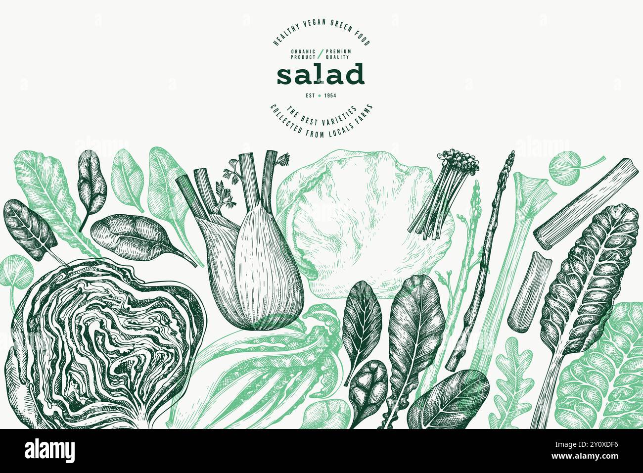 Green Vegetable Design Template. Vector Hand Drawn Healthy Leaf Salad ...