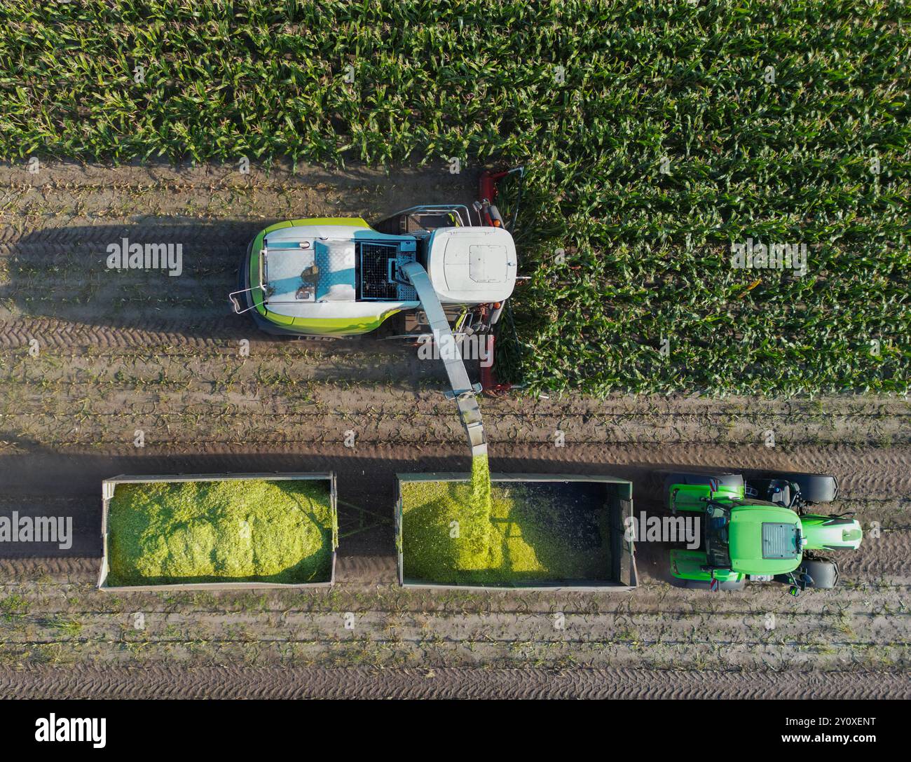 Lbv icon hi-res stock photography and images - Alamy