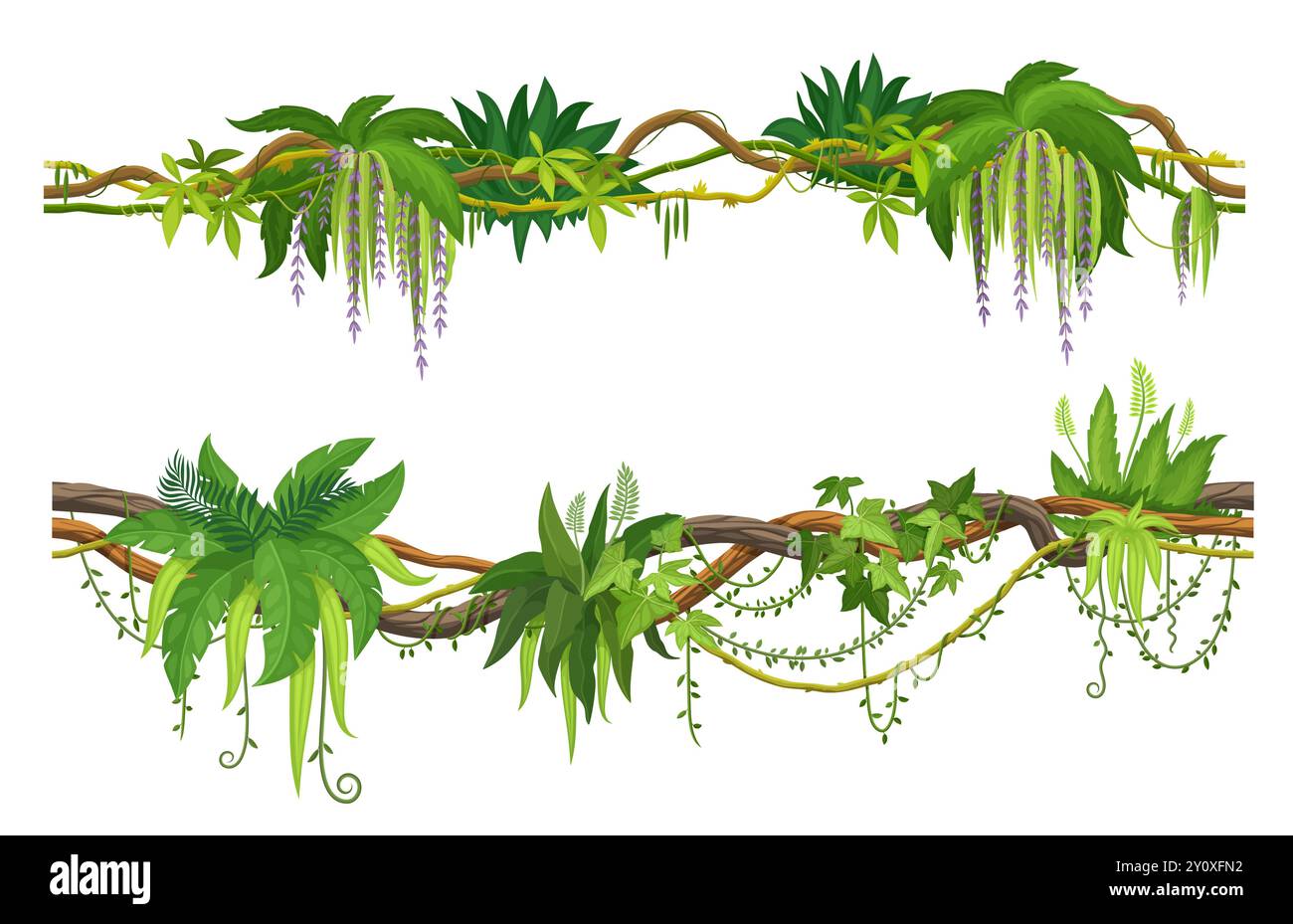 Liana branches or ivy vines of tropical jungle forest with monstera ...