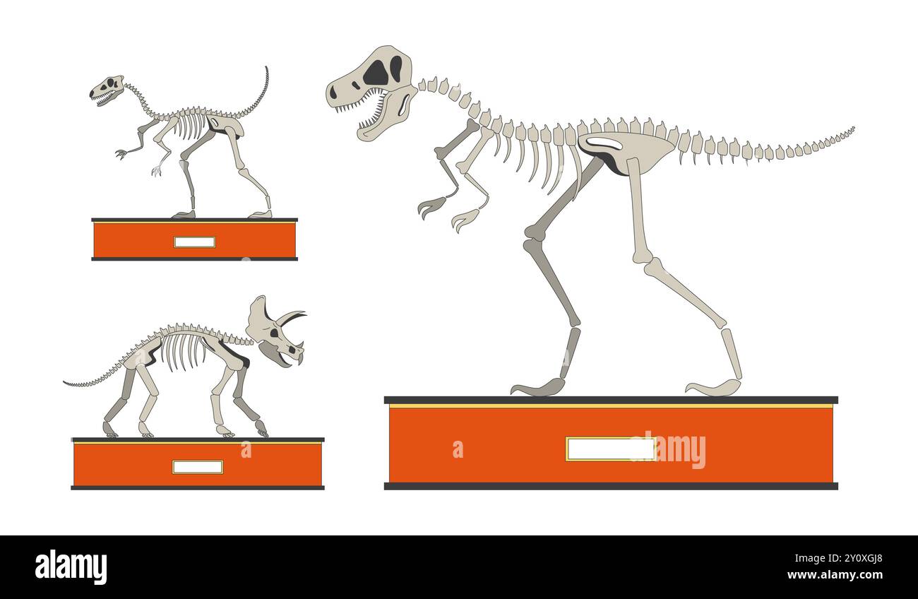Fossil dinosaurs exhibition 2D linear cartoon objects set Stock Vector ...