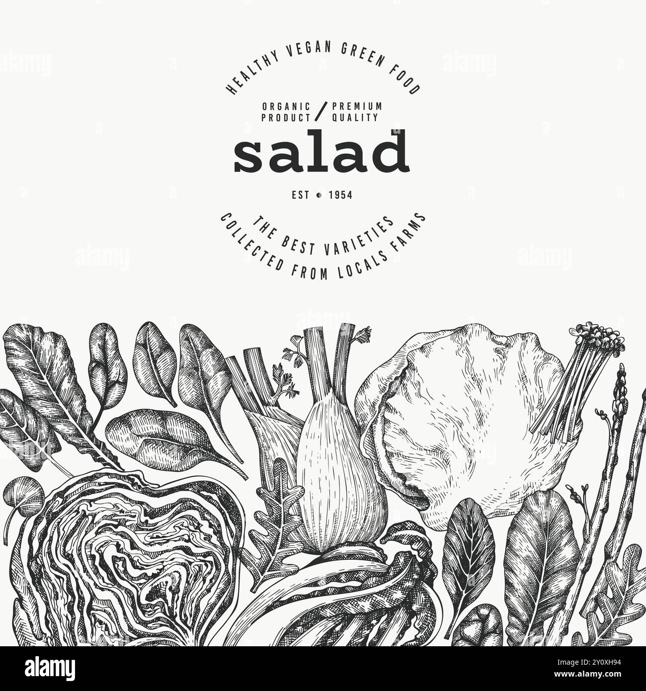 Green Vegetable Design Template. Vector Hand Drawn Healthy Leaf Salad ...