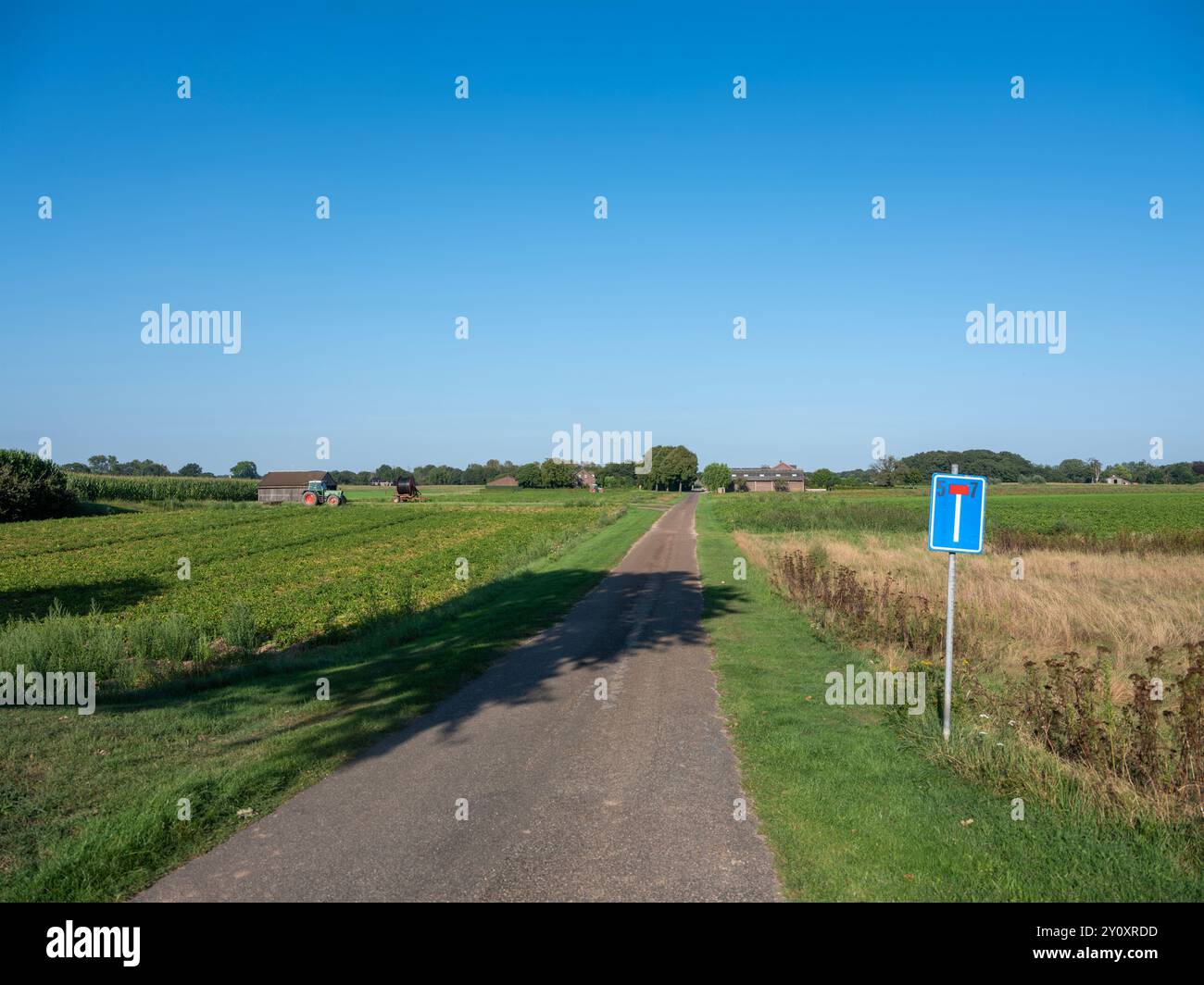 dead end country road with field and farm in national park maasduinen ...