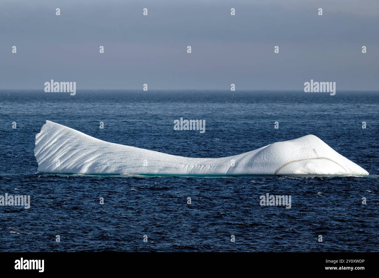 A low , saddle shaped iceberg at Resolution Island, Labrador Sea Stock ...