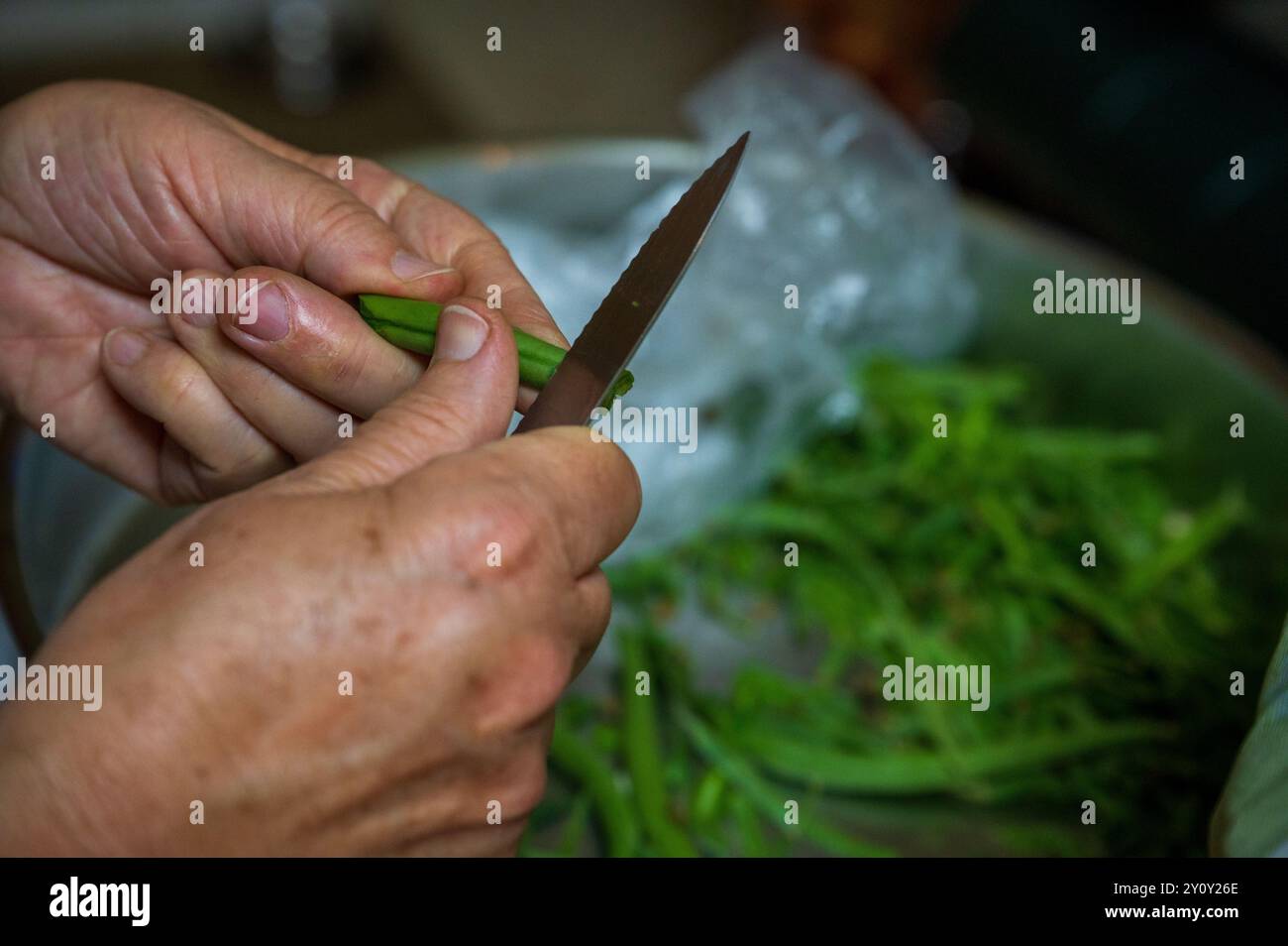 Process of cutting, cleaning and storing it green bean in kitchen Stock ...