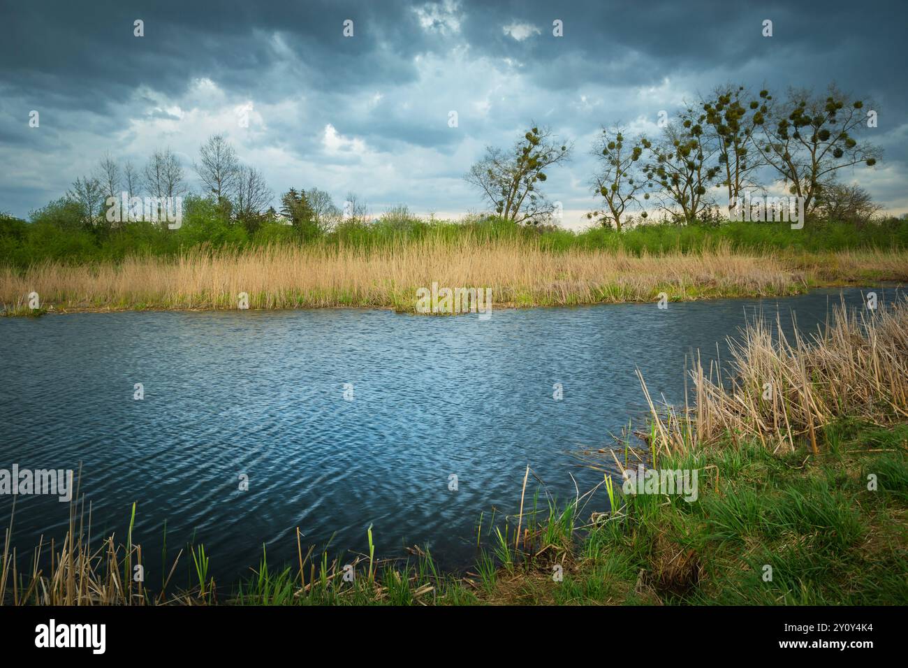 Beautiful pond blue sky hi-res stock photography and images - Alamy