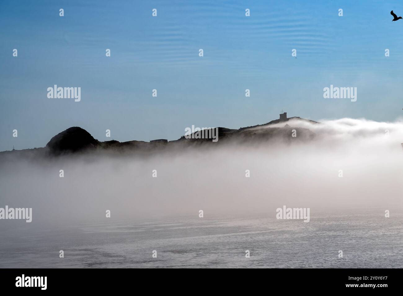 Rolling fog on the approches to St Johns , newfoundland, Canada Stock ...