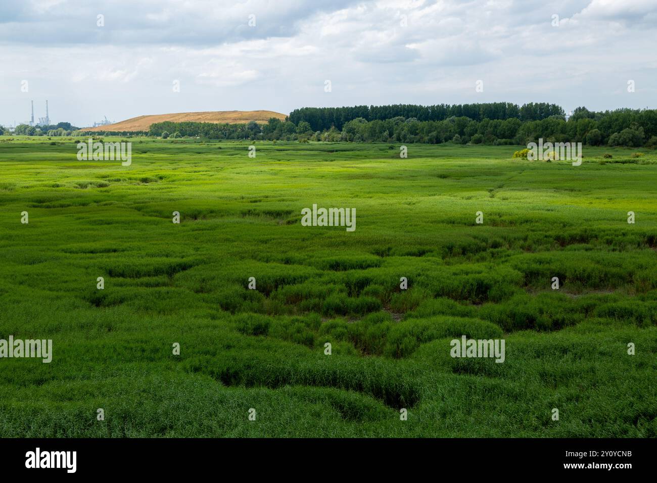 The Nature Reserve of the Seine Estuary, France's second largest nature ...