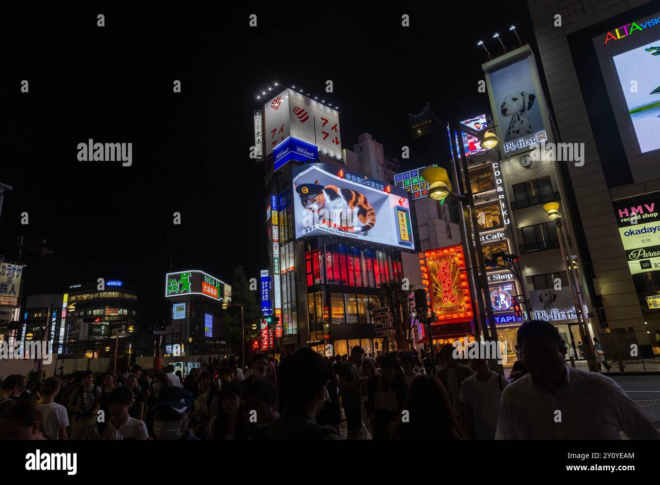 Shinjuku, Tokyo, Japan Stock Photo - Alamy