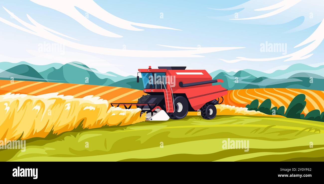 Combine field landscape. Harvesting scene, agriculture harvester ...