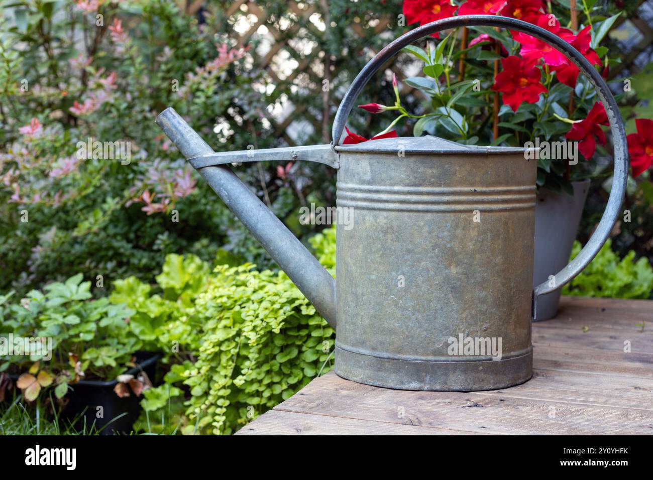 Rustic Watering Can in Garden Setting Stock Photo - Alamy