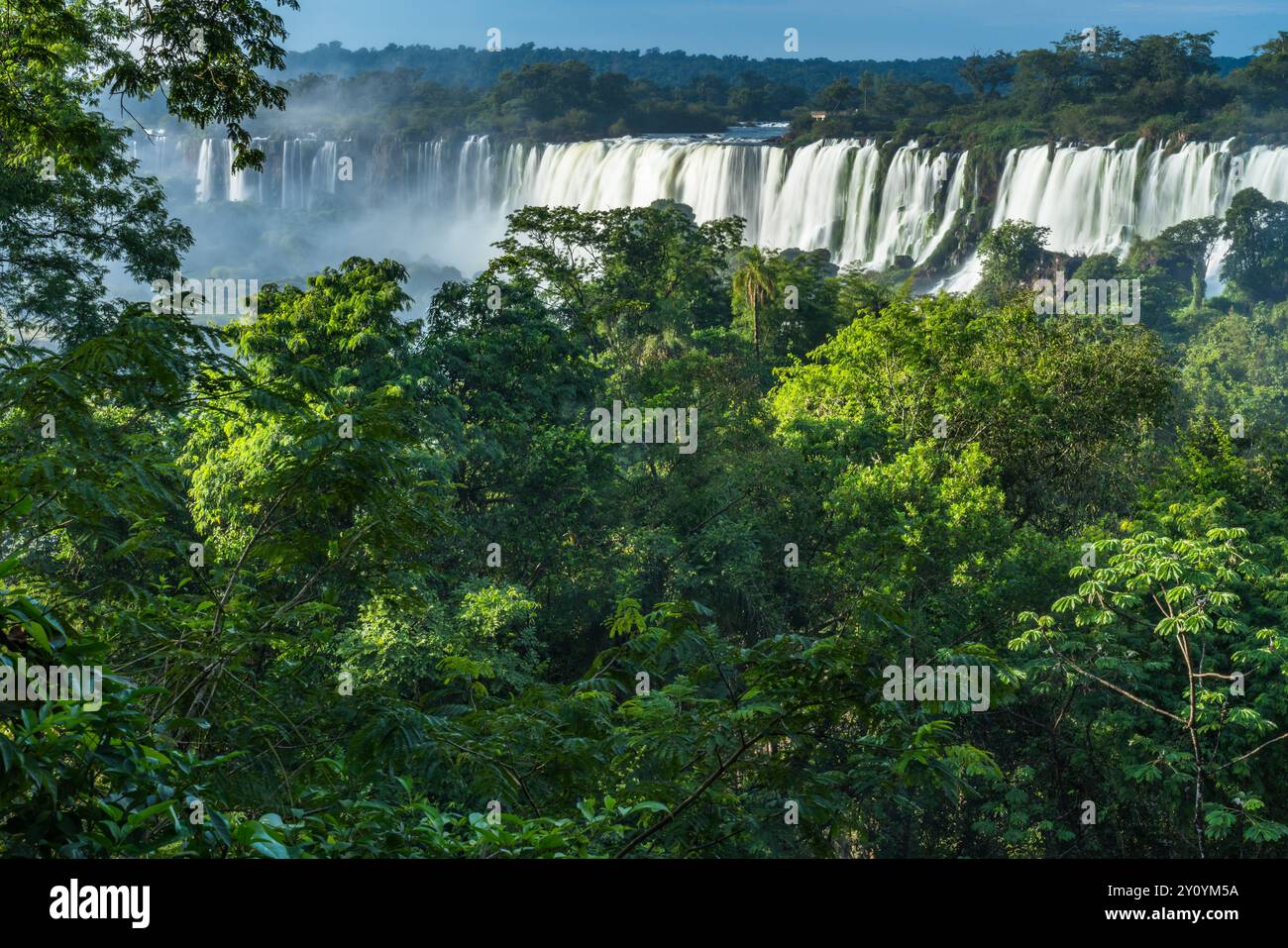 Tropical rainforest in Iguazu Falls National Park in Argentina. Above ...