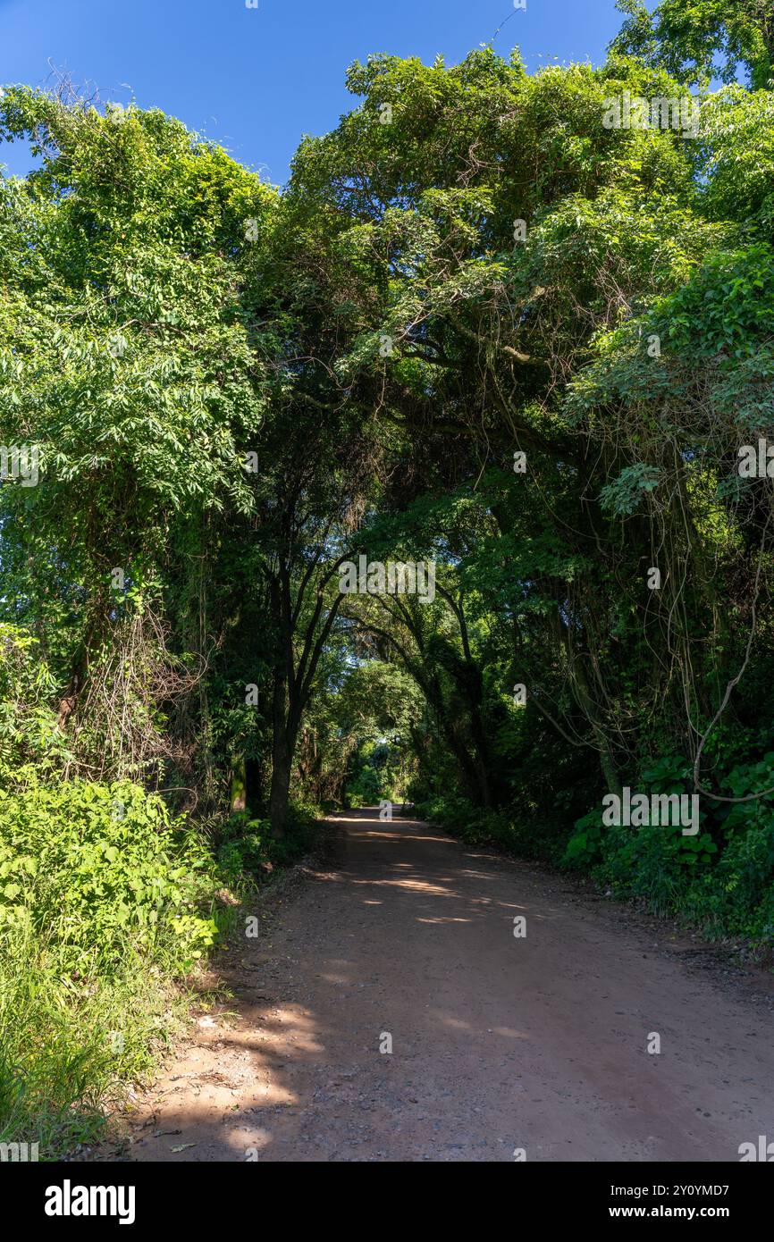 Provincial Route 83 into the yungas in Calilegua National Park in ...