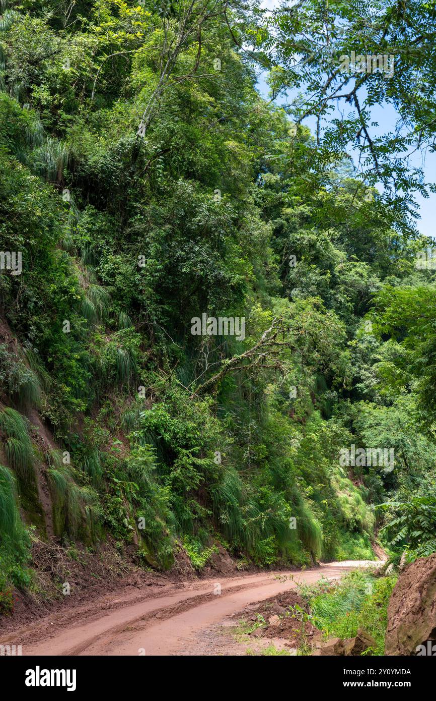 Provincial Route 83 into the yungas in Calilegua National Park in the ...