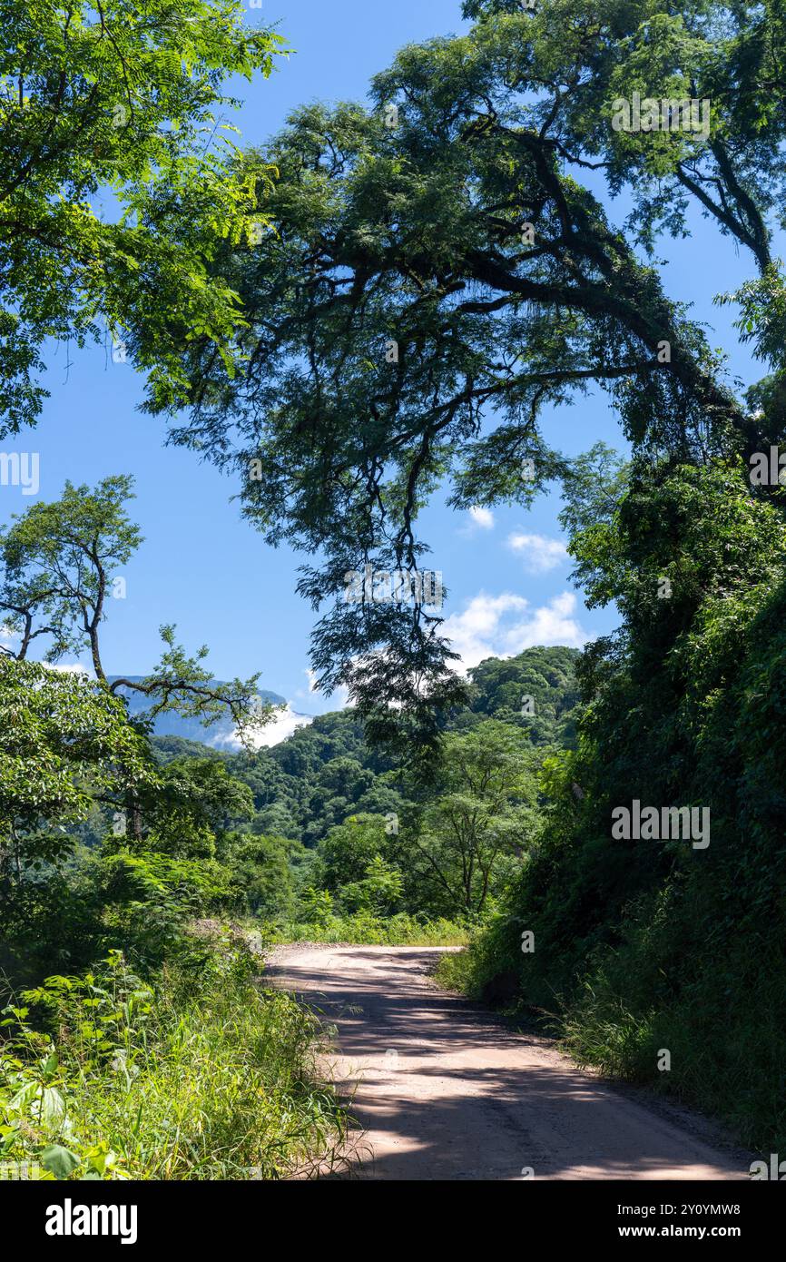 Provincial Route 83 into the yungas in Calilegua National Park in the ...