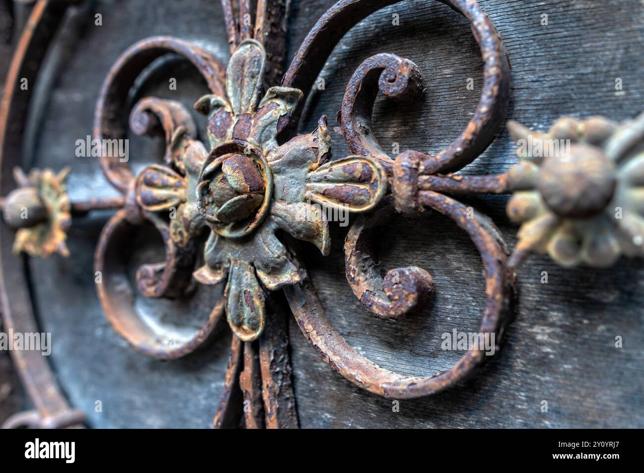 Ornate wrought iron gate with intricate floral designs, standing ...