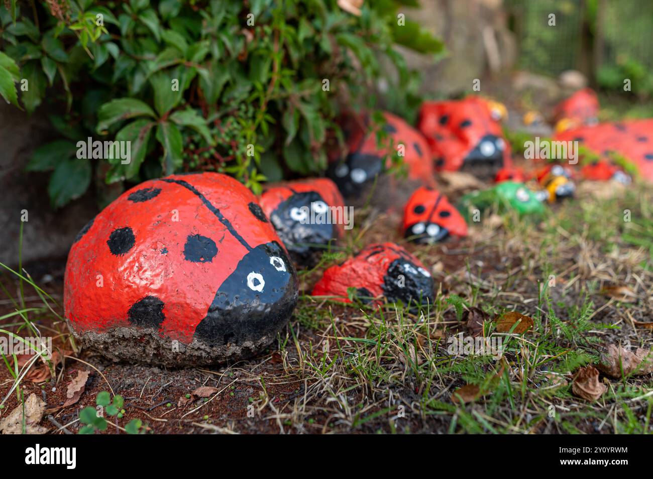 Brightly painted rocks shaped like ladybugs decorate a garden, adding ...