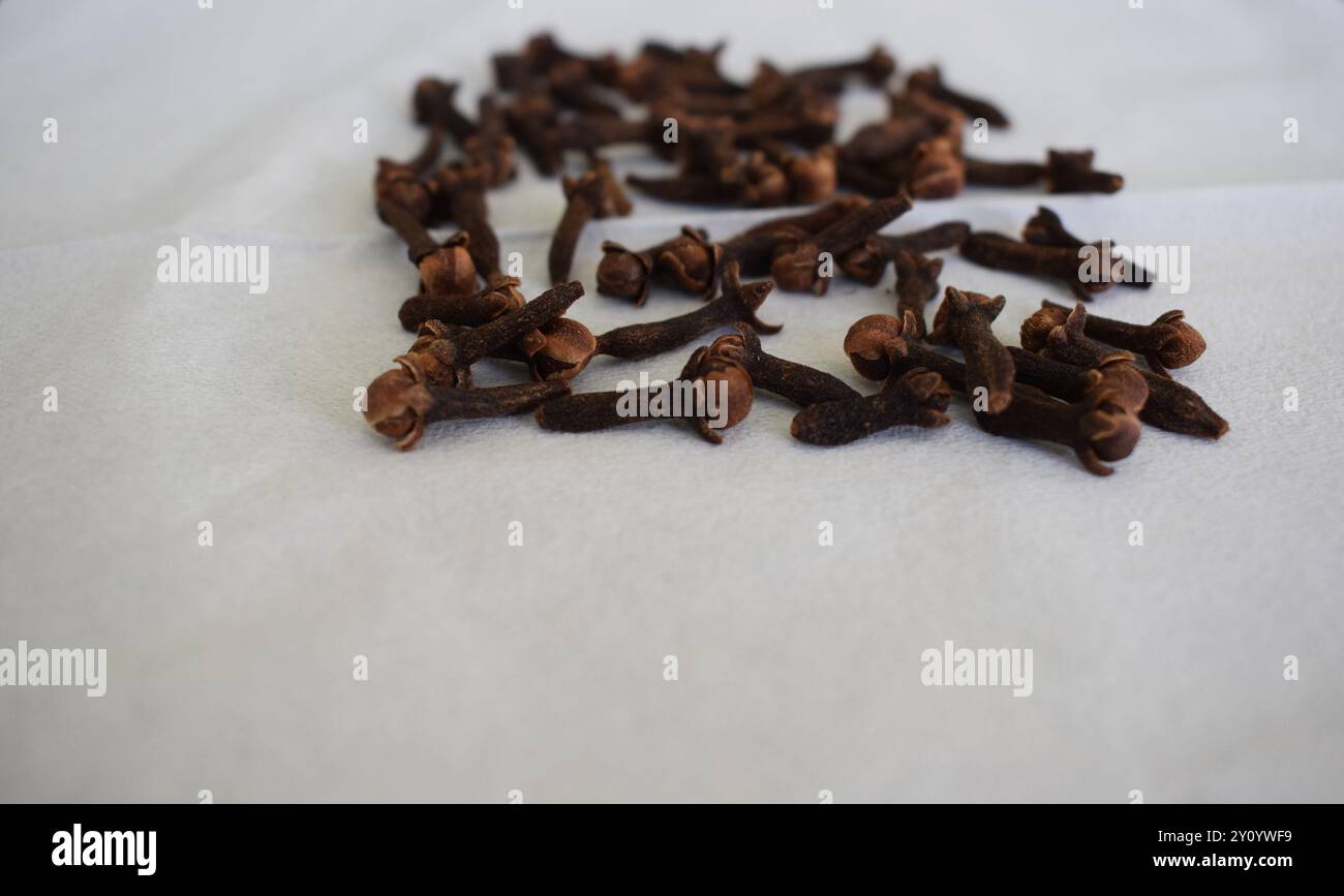 Spice cloves on white background Stock Photo - Alamy