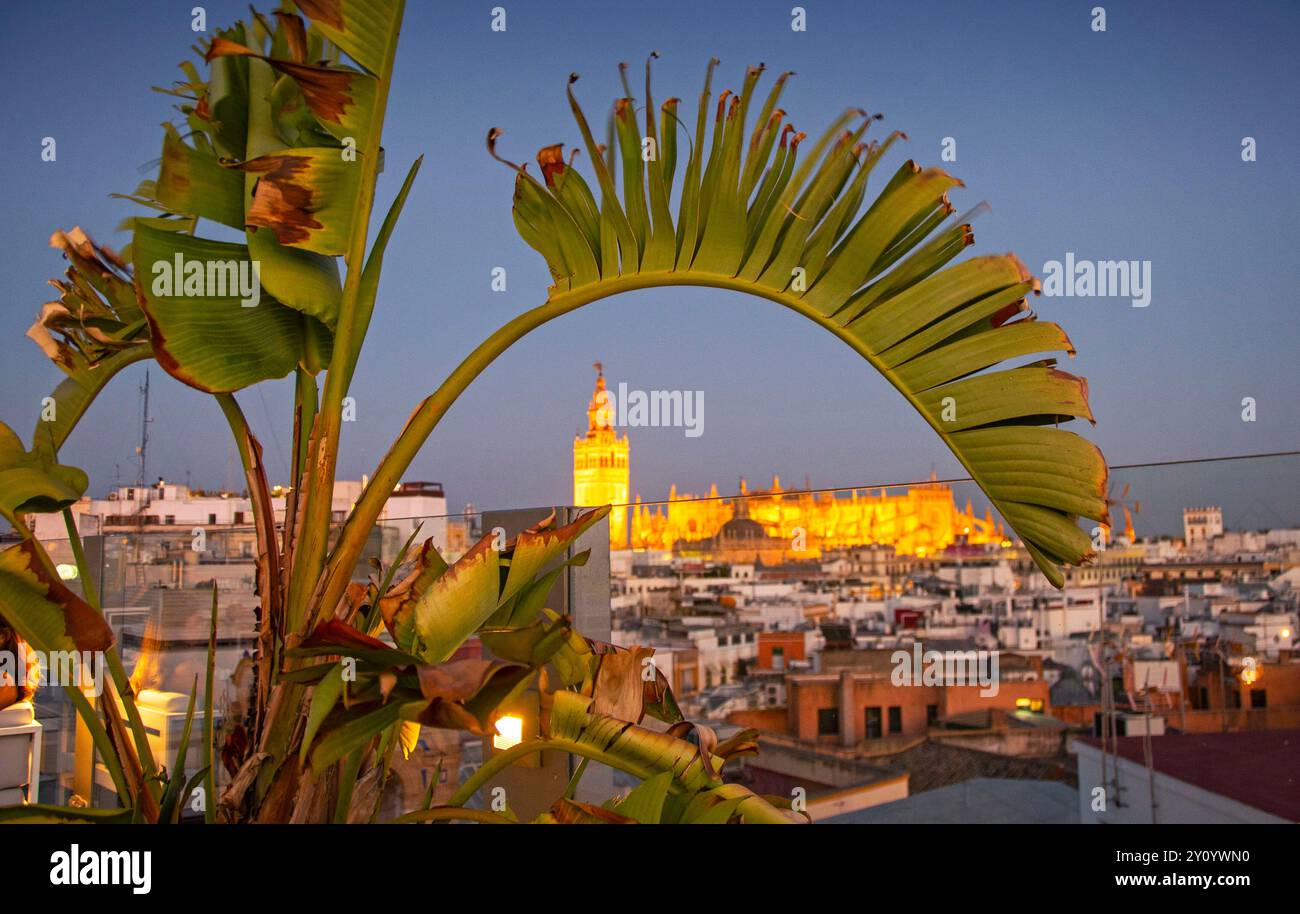 Rooftop bar seville hi-res stock photography and images - Alamy