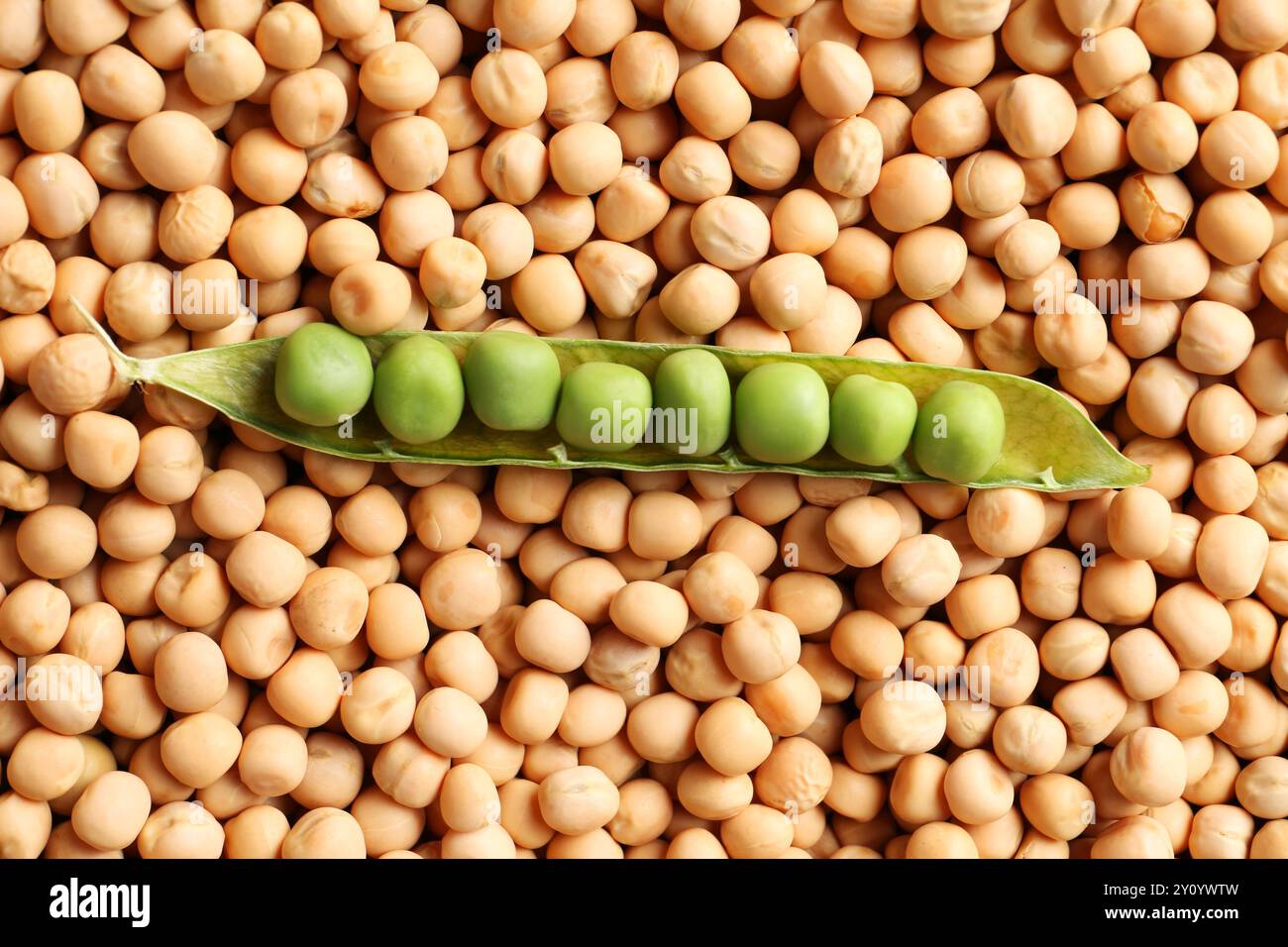Fresh pod with peas on dried ones, top view Stock Photo - Alamy
