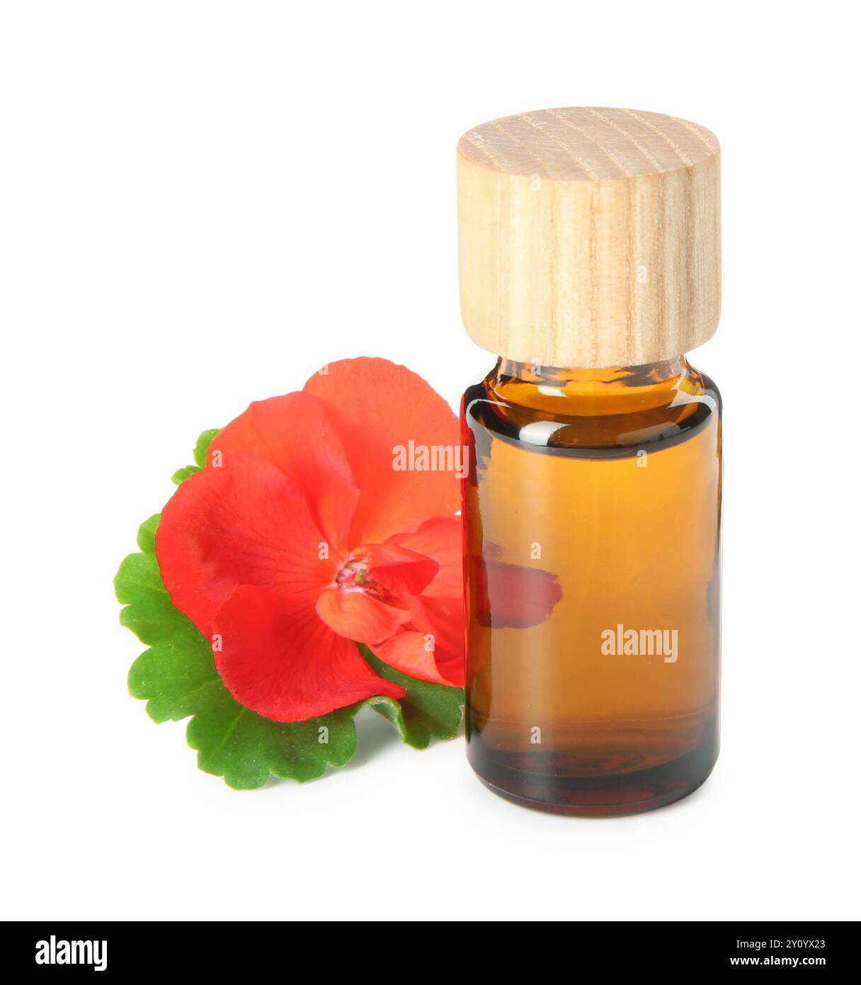 Bottle of geranium essential oil and beautiful flower isolated on white ...