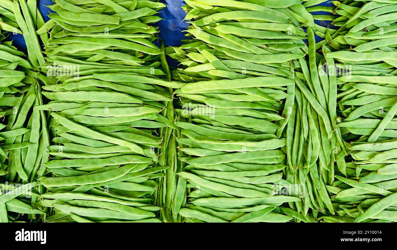 fresh green beans, market, perfectly arranged to highlight their ...