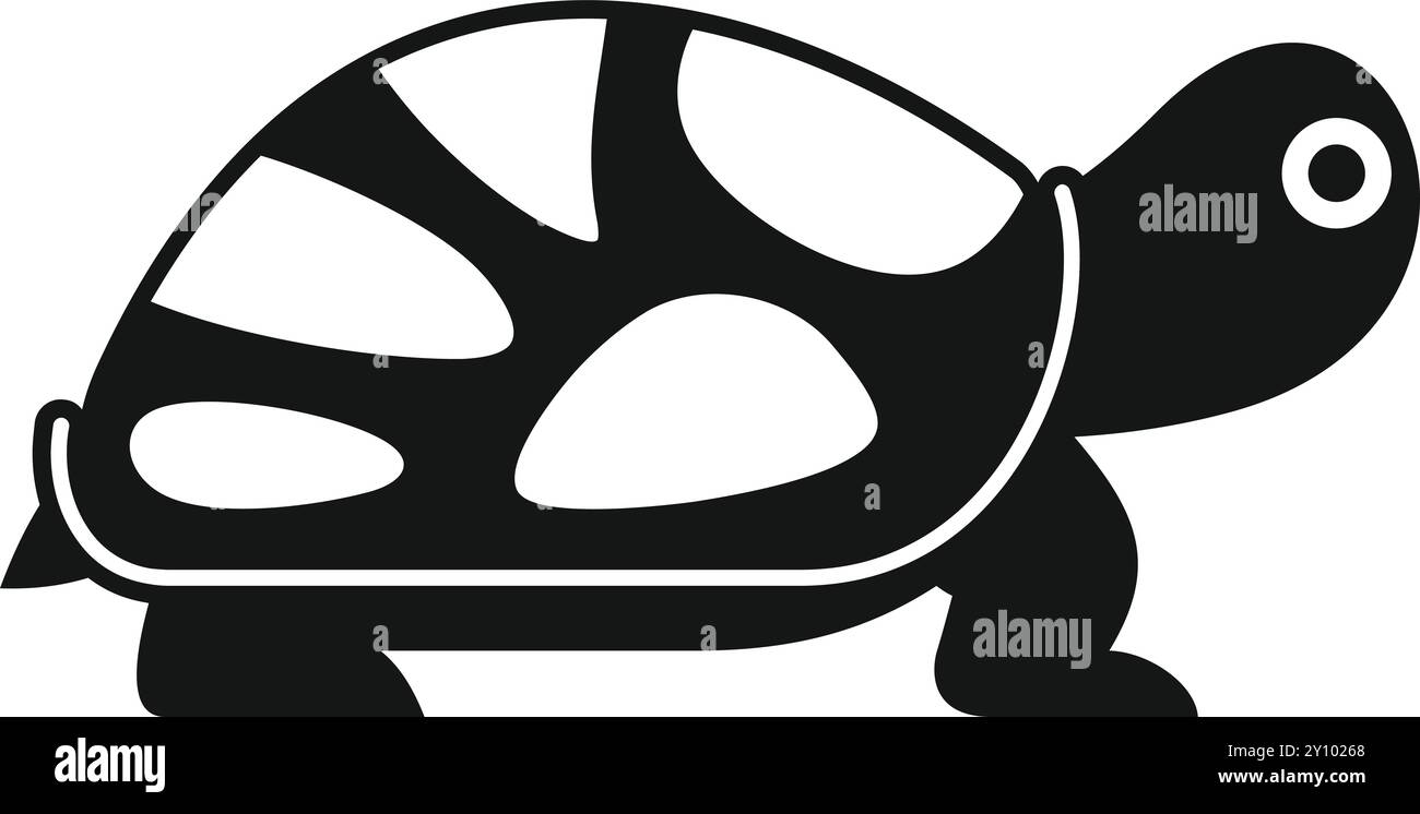 Sea shell walking Black and White Stock Photos & Images - Alamy