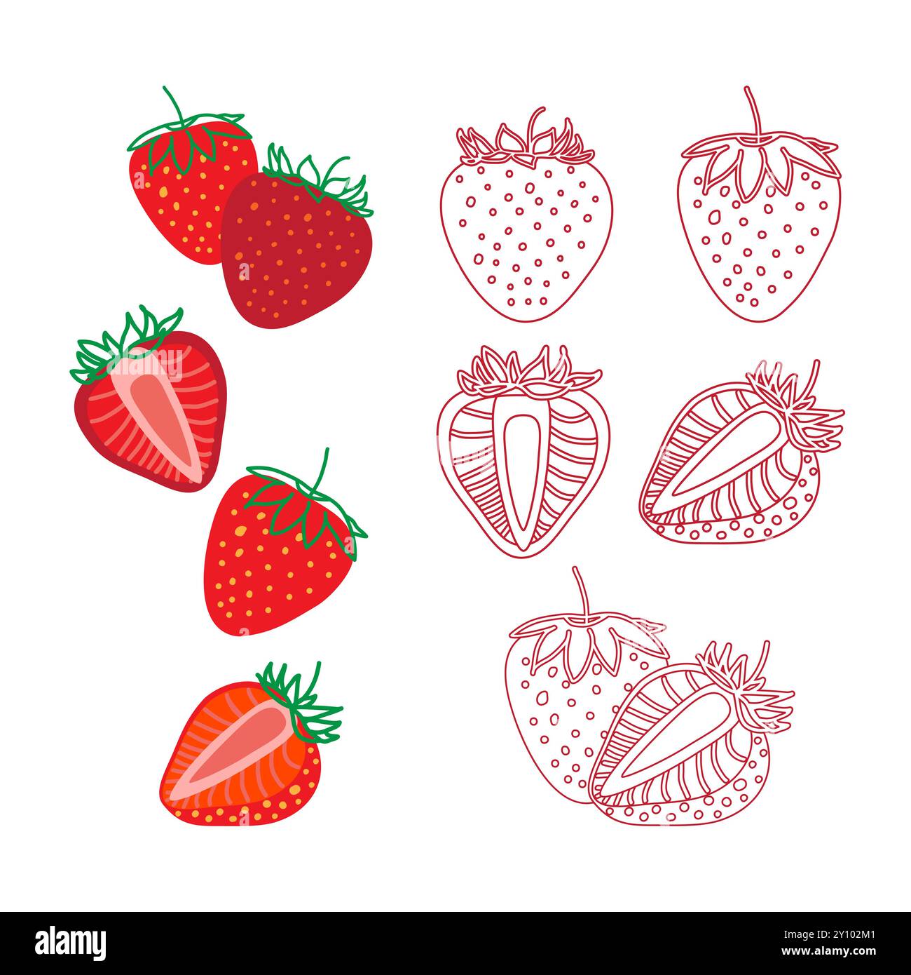 Strawberry drawing, hand drawn botanical illustration set. Collection ...