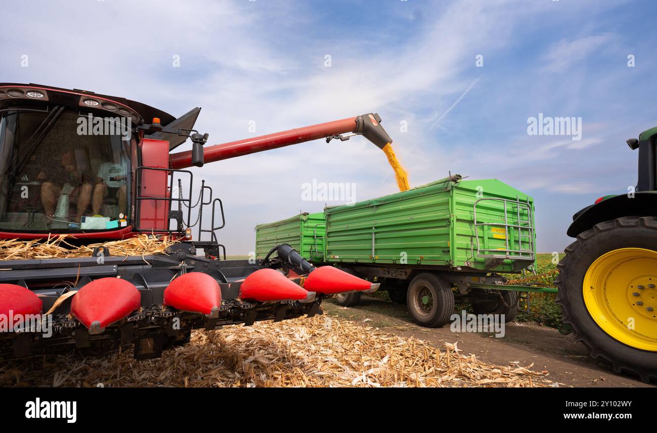 Grain auger of combine pouring corn into tractor trailer Stock Photo ...