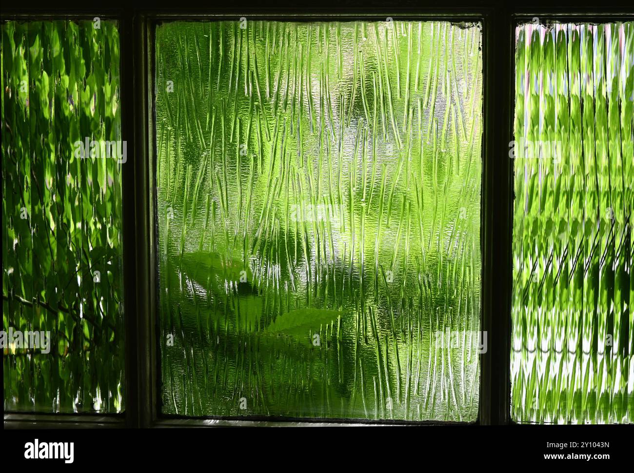 view of pants through textured glass window Stock Photo - Alamy