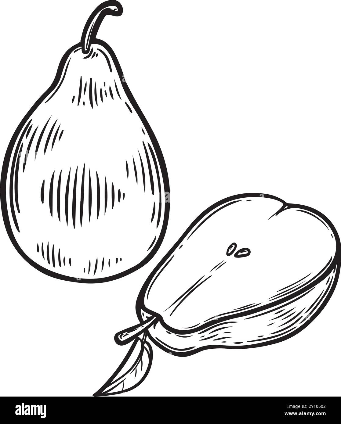 Engraved pear half hand drawn vector illustration Stock Vector Image ...