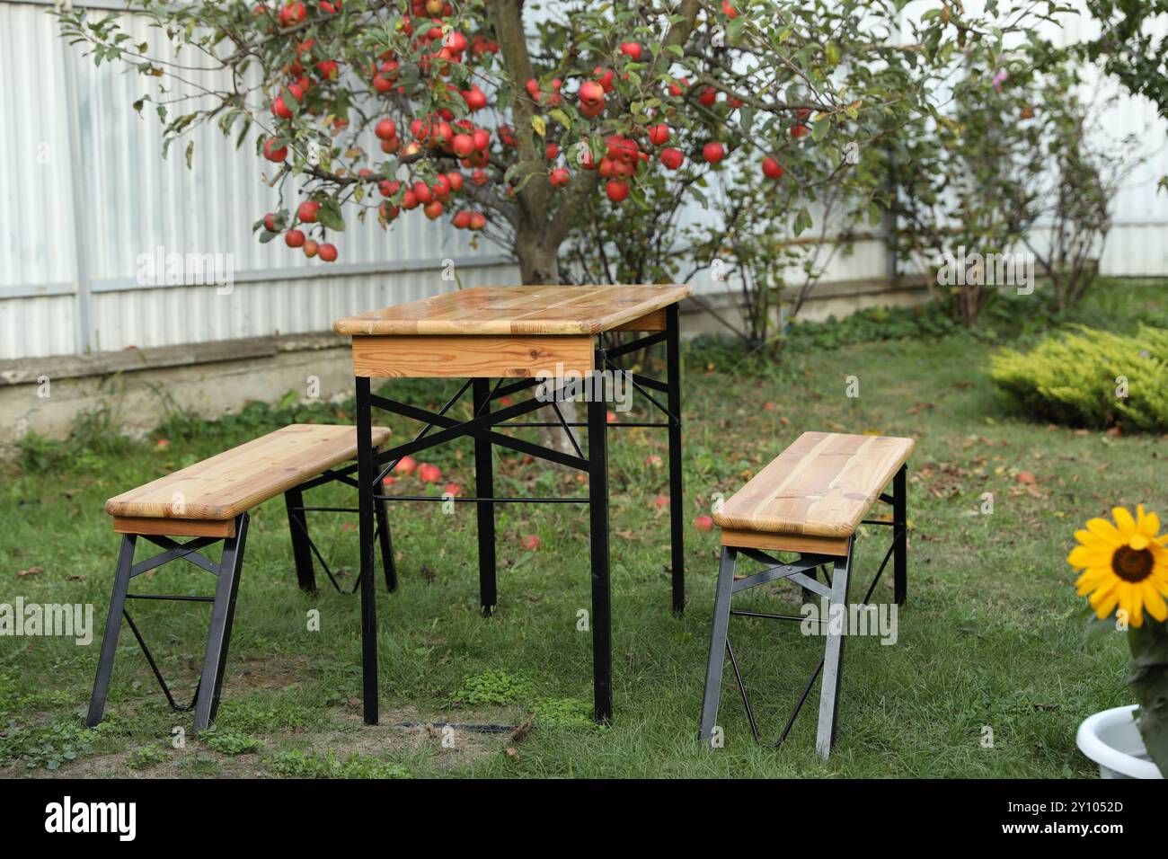 Wooden table with benches in apple garden Stock Photo - Alamy