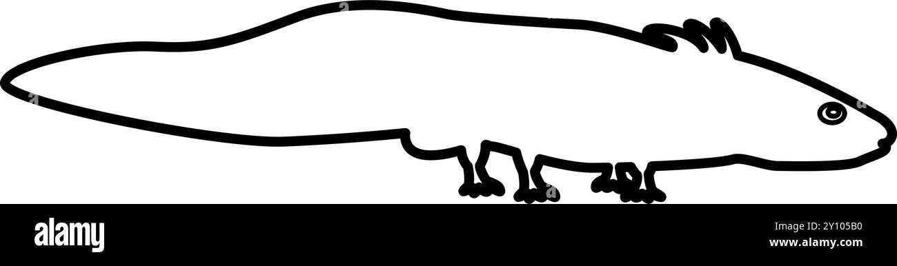 Axolotl ambystoma mexicanum view side contour outline line icon black ...