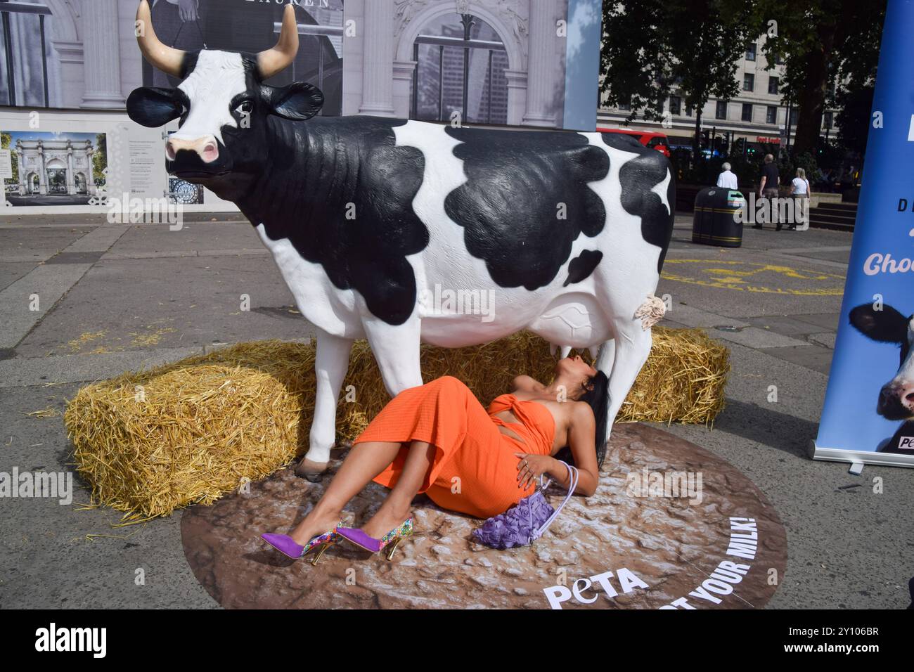 London, UK. 4th September 2024. An elegantly-dressed PETA activist "drinks milk" from the udder ...