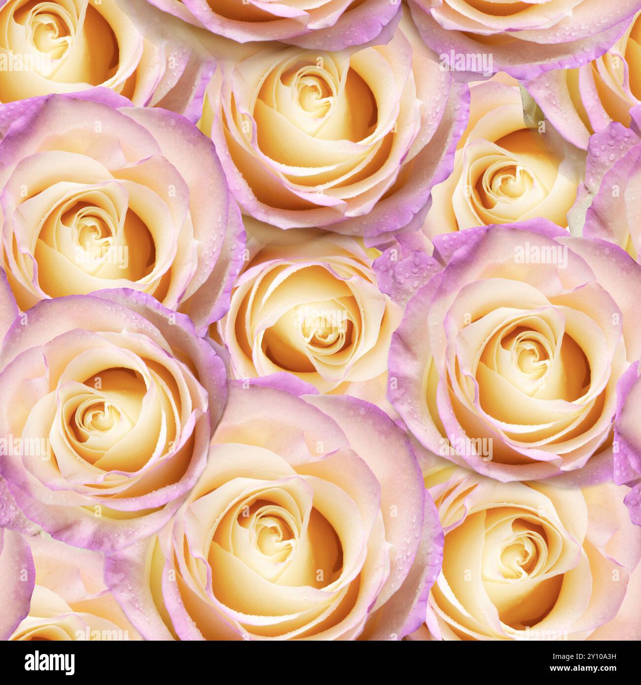 A beautiful seamless pattern with close-up views of delicate pink and ...