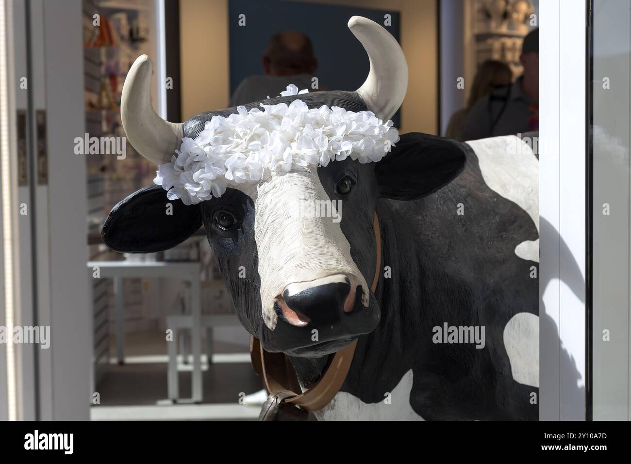 Ale-Hop shop cow mascot. Black and white Fresian model of a cow to ...