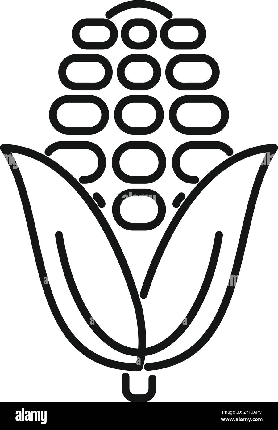 Simple line drawing of a corn cob with husk, isolated on white ...