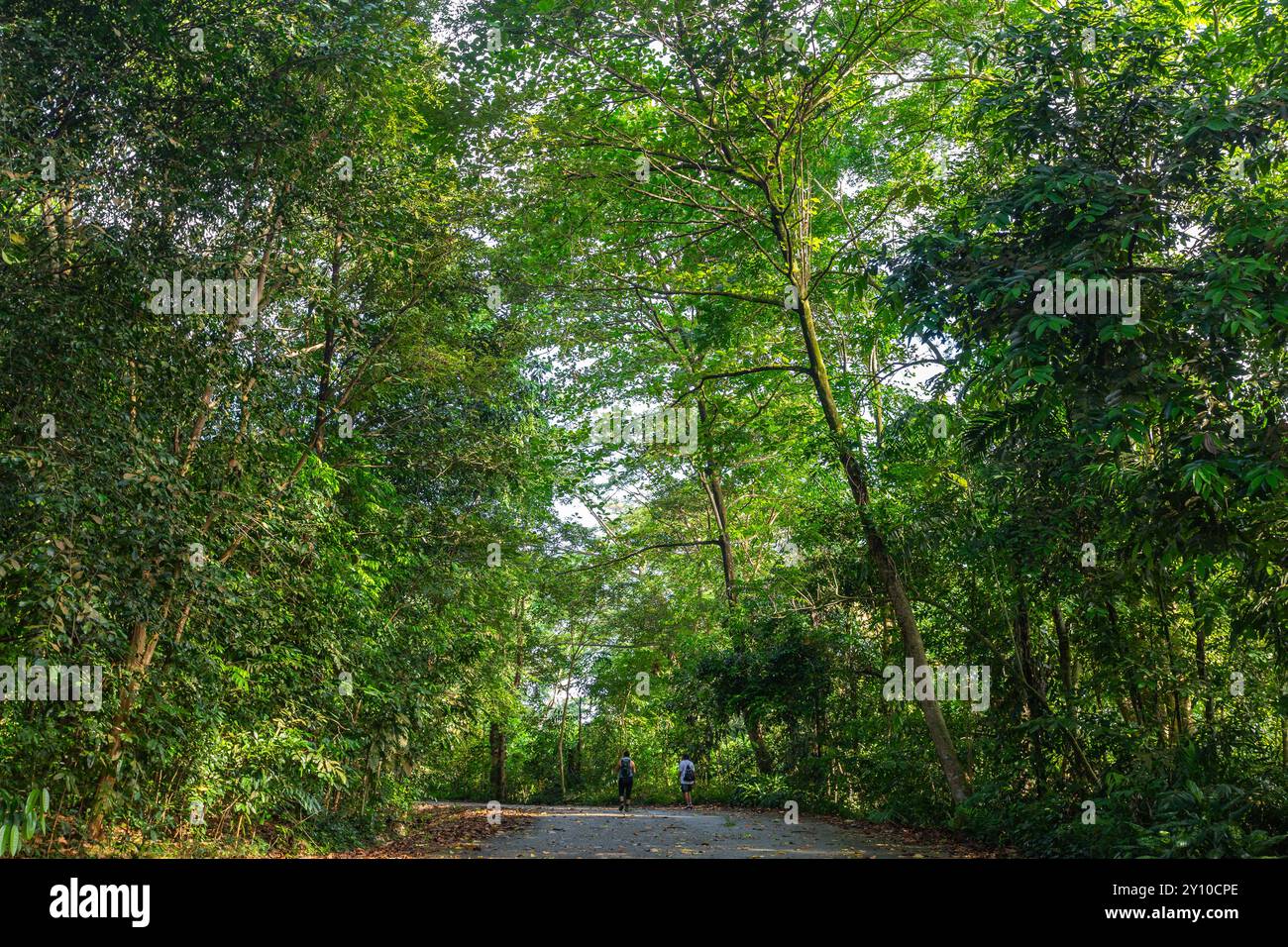 Two people taking a relax slow walk in nature. Singapore Stock Photo ...