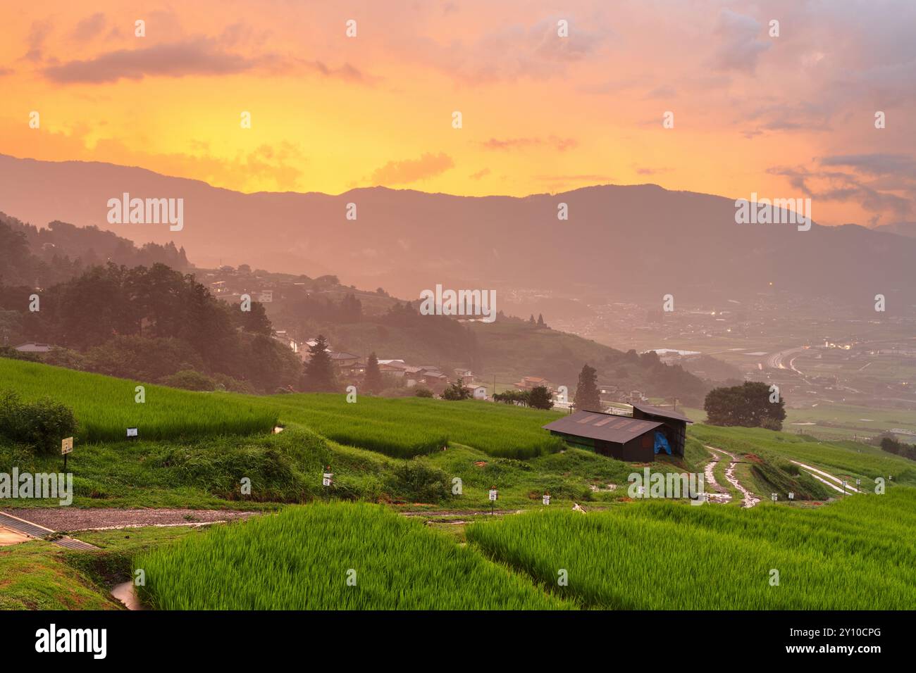Obasute, Nagano, Japan rice terraces at dusk in summer Stock Photo - Alamy
