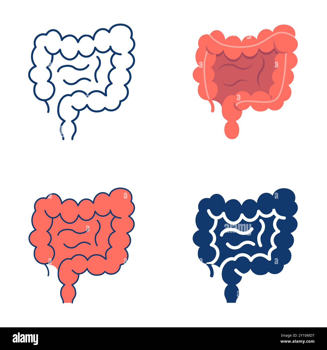 Human intestine icon set in flat and line style. Internal body organ ...