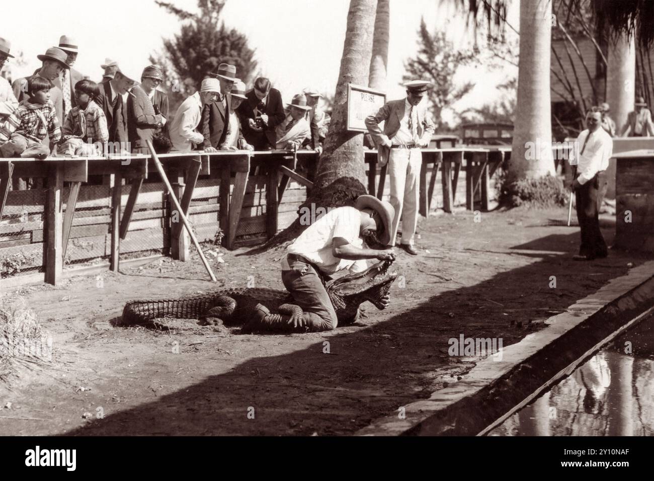 Alligator Joe wrestling an alligator at Musa Isle Seminole Indian ...