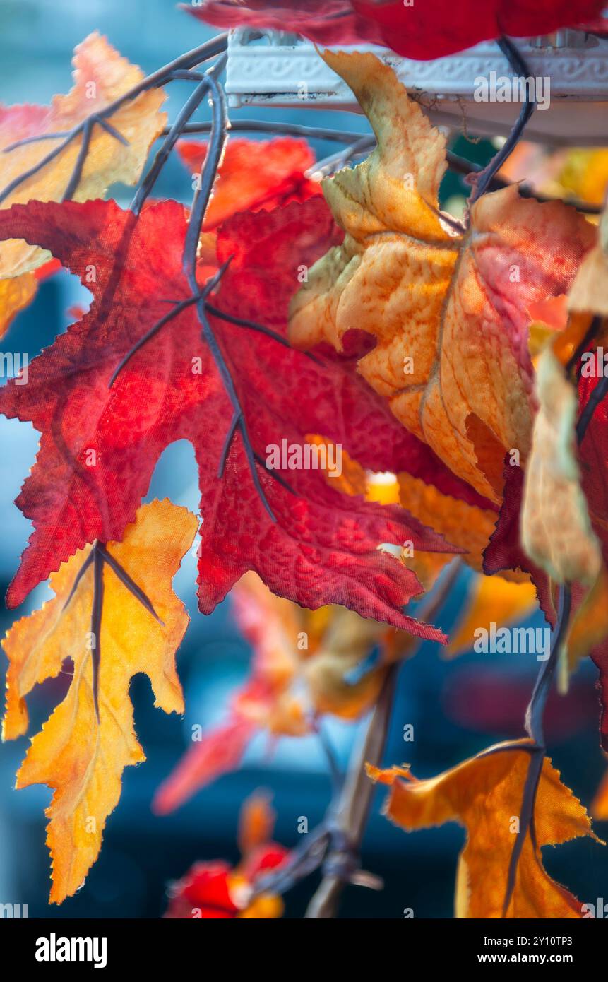 Fall scene hi-res stock photography and images - Alamy