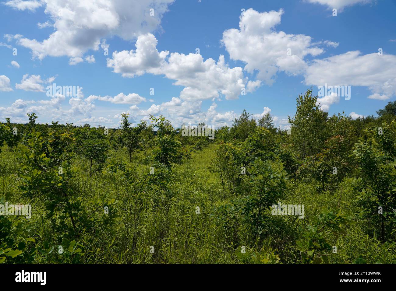 Germany, Bavaria, Upper Bavaria, Mühldorf am Inn district, Inn cycle ...